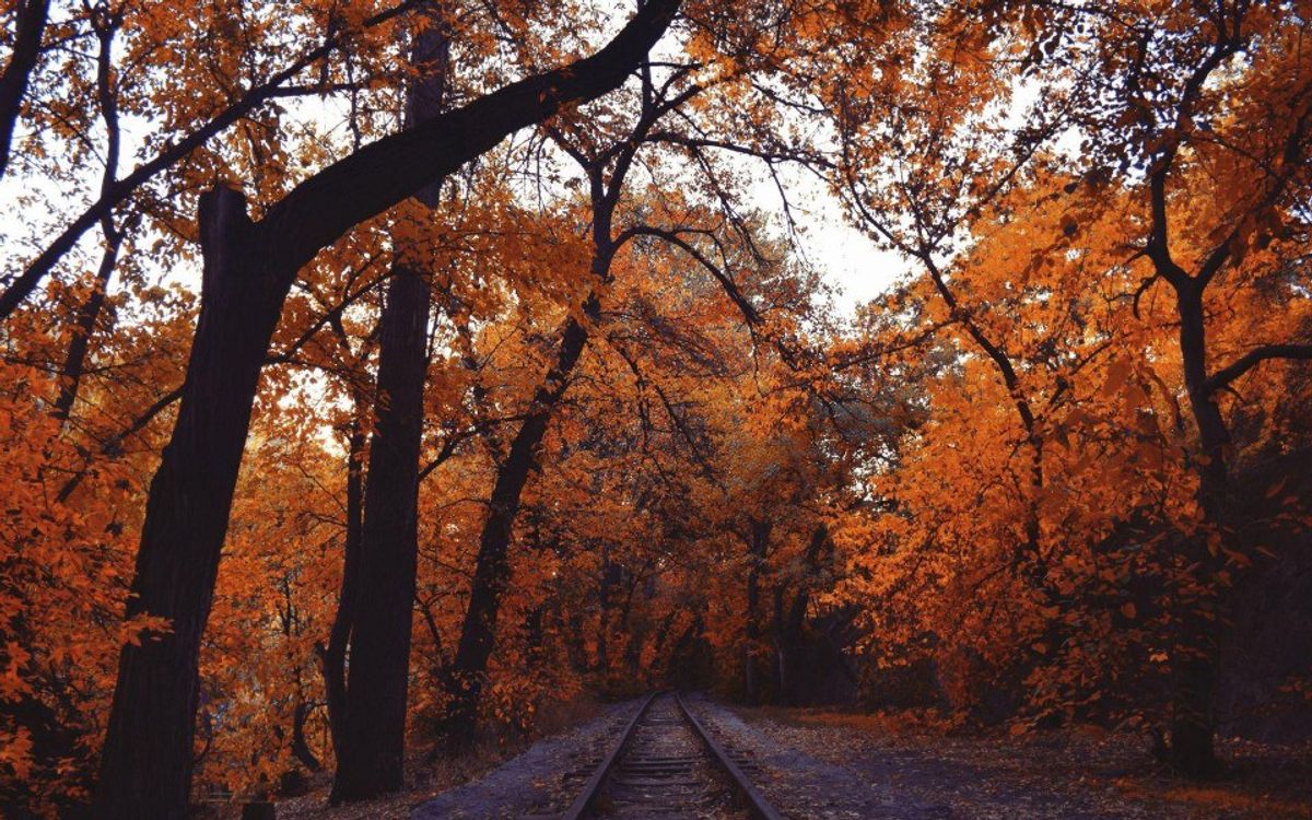 Reasons Why Fall Is The Best Time Of Year.