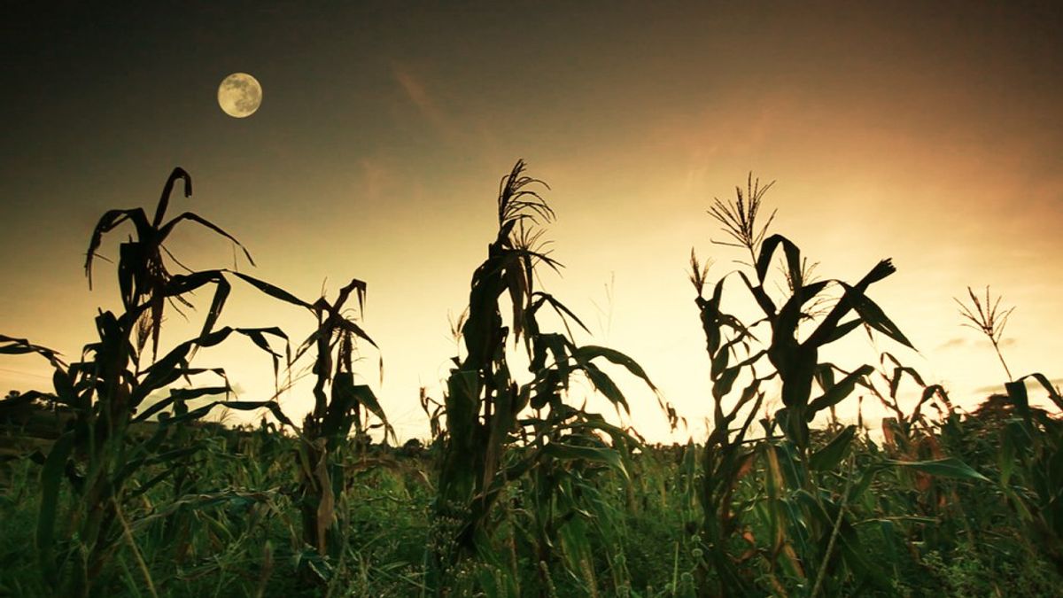 September Is The Worst Month, Here's Why