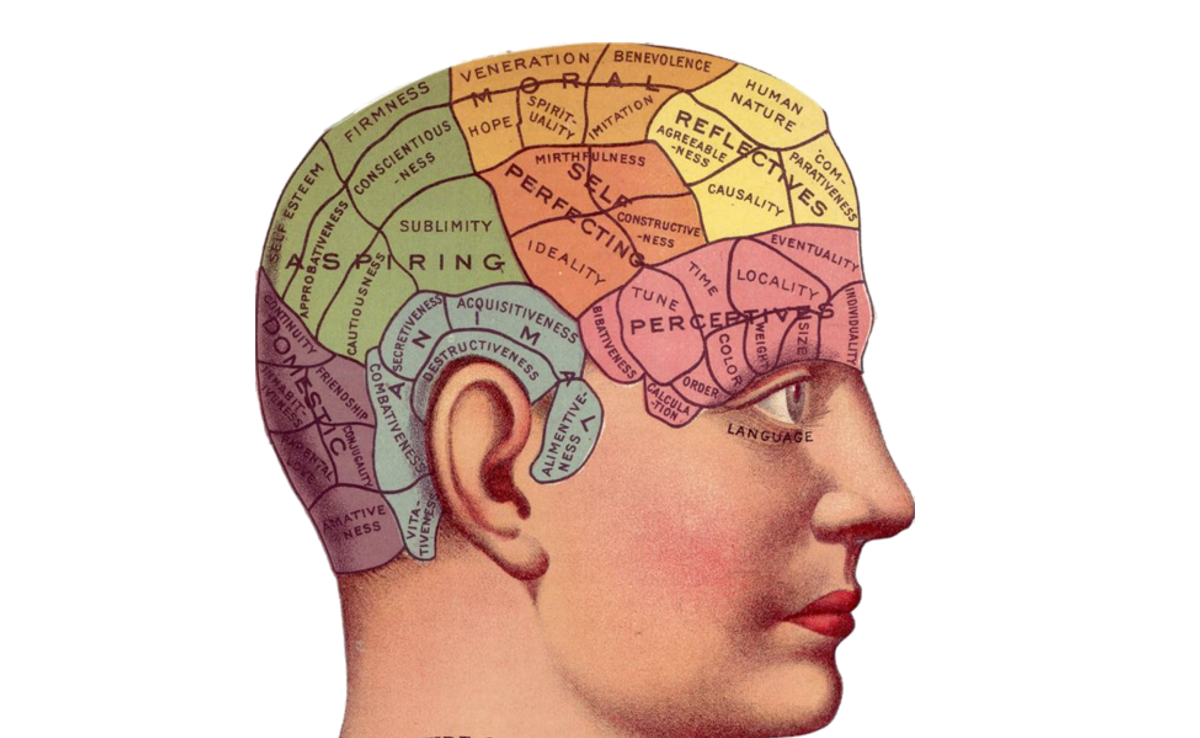 What Is Common Sense And Do You Have It An Extended Definition what-is-common-sense-and-do-you-have-it-an-extended-definition