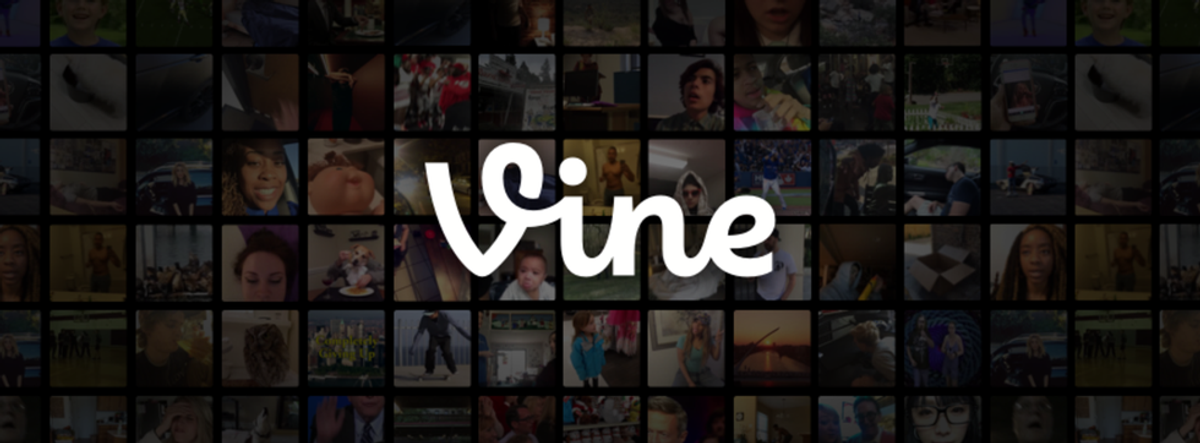Goodbye Vine