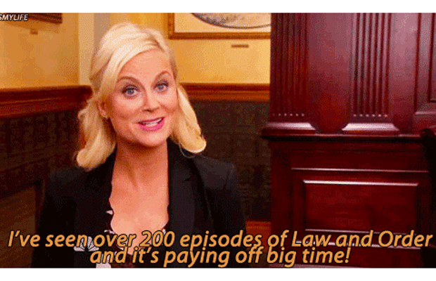 11 Reasons Why Leslie Knope Would Make A Great President