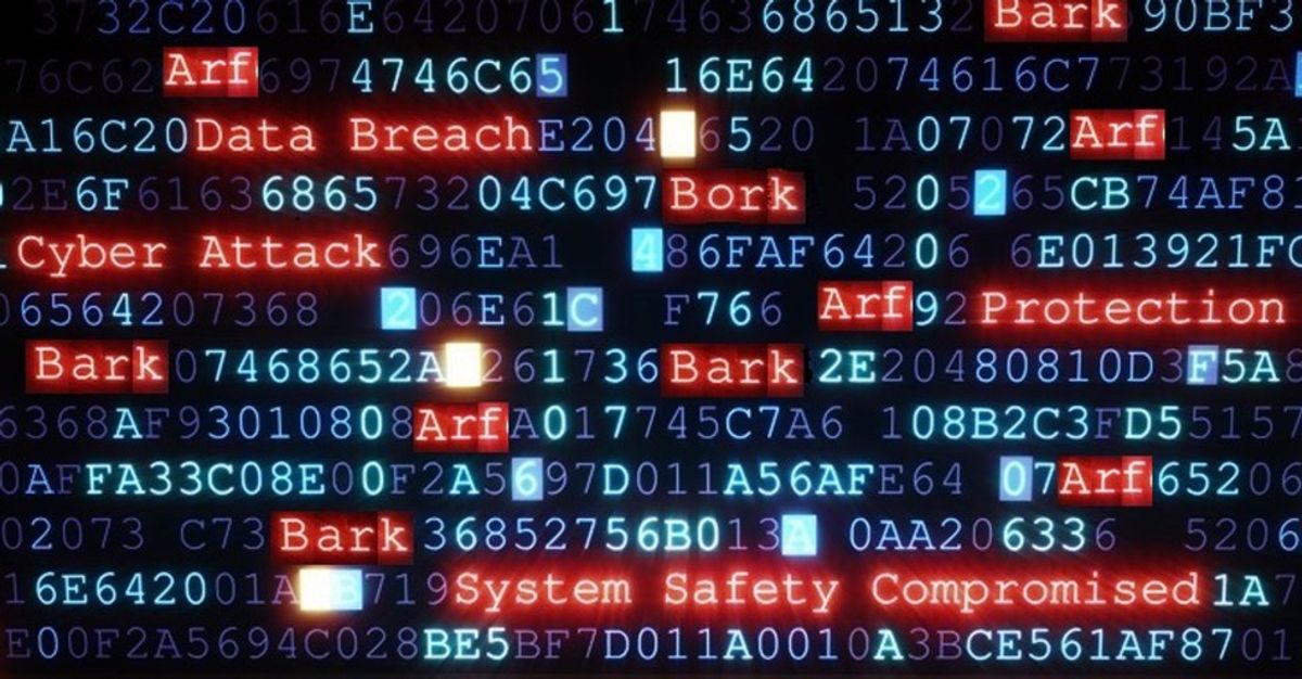 The 7 Cutest Puppies On The Dark Web