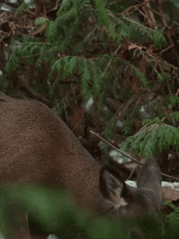 10 Hidden Messages In The Film 'Get Out'