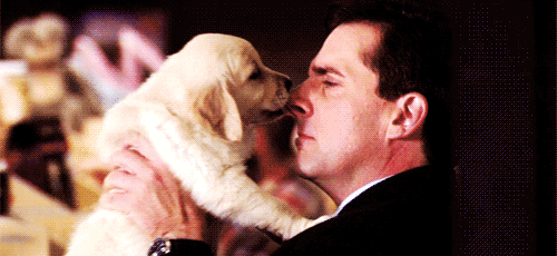 18 GIFs From 'The Office' To Describe Midterm Season