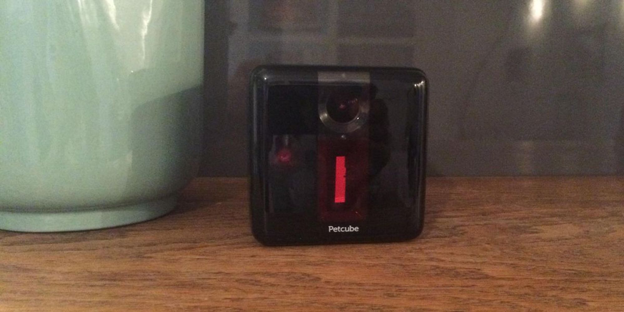 Review: Petcube peers into the secret life of your pets - Gearbrain