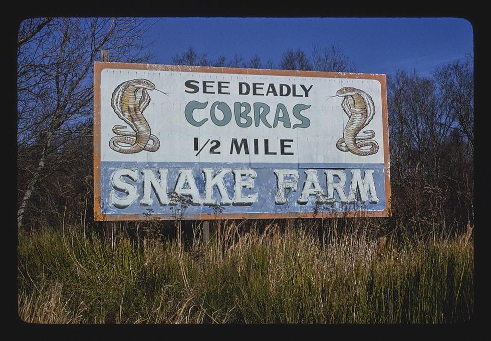 How TV ads, the Vietnam war, and a Studebaker-driving first lady ...